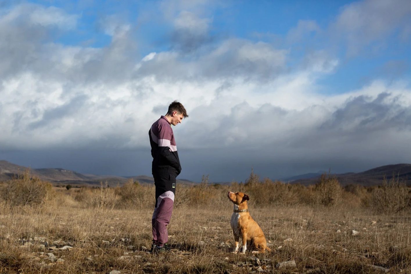 CHIEN DE LA CASSE, un premier long-métrage réussi - Critique
